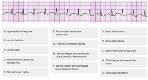 ACLS Precourse Self Assessment Answers » ACLS Pre Test Answers